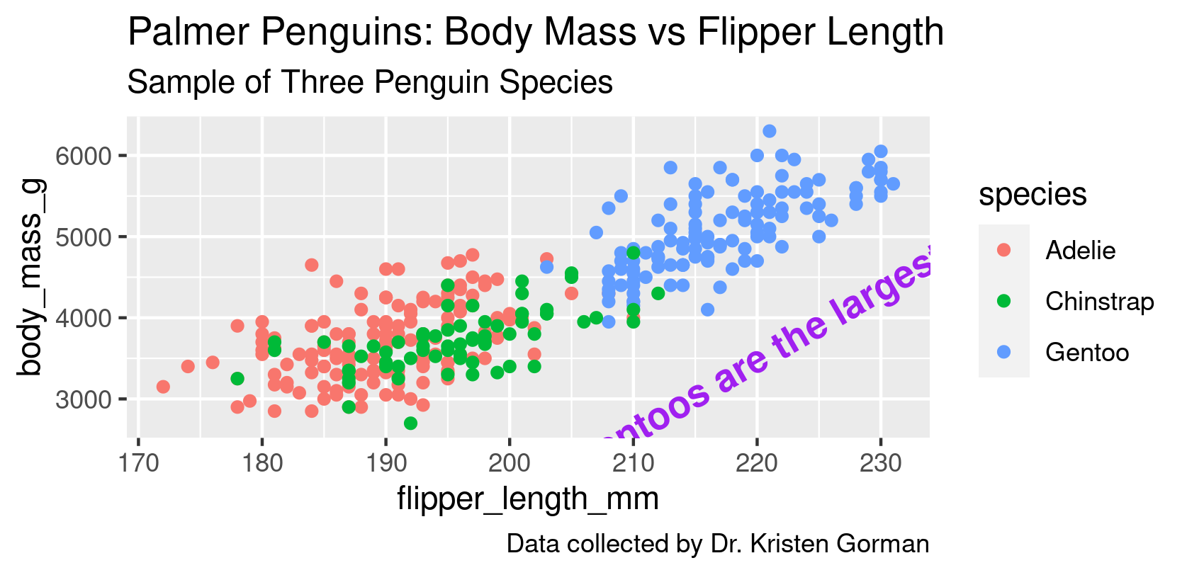Rodrigo Corral Portfolio